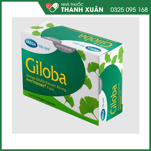 Giloba tuần hoàn máu não, cải thiện trí nhớ